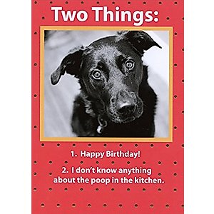 Two Things Recycled Paper Greetings Funny Birthday Card from The Dog