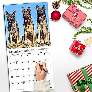 RED EMBER German Shepherds 2024 Wall Calendar 12 Month | 12" x 24" Open | Thick & Sturdy Paper | Giftable | Calendar 2024