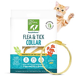 Only Natural Pet EasyDefense Flea & Tick Cat Collar - Feline Flea Collars Flea and Tick Control - Pet Flea Care That Protects up to 4 Months - for Cats (Single)
