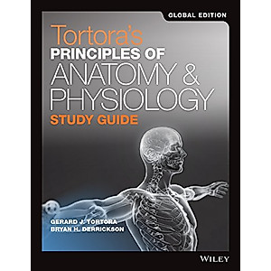 Tortoras Principles Of Anatomy And Physiology Study Guide