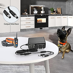 UpBright 10V AC/DC Adapter Compatible with Dogtra Super-X 3502NCP ARC 1900S 1902S EDGE 2300NCP 2500T&B 3500NCP Collar HK-AJ-100A150-US BC10V1500/5.5 SBC10V1500 5.5 SBC10V2000 5.5 BC10V2000/5.5 Charger