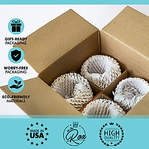 Funny Christmas Wine Glasses - “Baked, Lit, Bottoms Up, Blitzened” Printed Stemless Wine Glass Set of 4 - Wine Holiday Gifts for Her - Christmas Cocktail Glasses and Drinkware by On The Rox Drinks