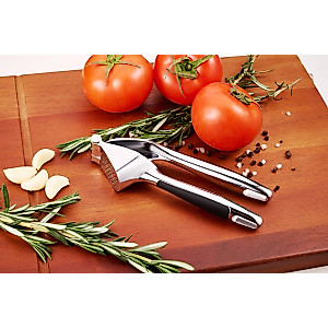 Honsen Garlic Press Easy to Squeeze and Clean, Zinc Alloy Garlic Mincer & Crusher with Soft Easy-Squeeze Ergonomic Handle