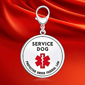 Elegant Chef Service Dog ID Tag .999 inch for Small Breed- Hard Enamel Double Side Engraved Protected Under Federal Law with Medical Alert Symbol- Easily Attach to Dog Collar, Harness or Vest Strap