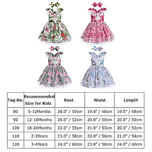 Newborn Baby Flower Girls Tutu Satin Floral Beach Dress Princess Formal Party Wedding Gown Birthday Bowknot Pageant Communion Baptism Overall Outfit Sundress for Photo Shoot Cows-Pink 12-18 Months