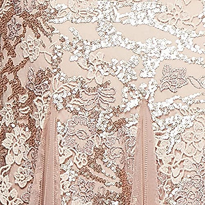 Alex Evenings Women's Long V Neck Fit and Flare Dress with Shawl (Petite Regular), Rose Gold, 6P