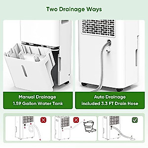 4500 Sq. Ft 50 Pint Dehumidifier for Basement, COLAZE Dehumidifiers with Drain Hose for Home Bedroom Bathroom Large Room, Auto Defrost & Full Water Alarm & 24H Timer with 1.59 Gallon Water Tank