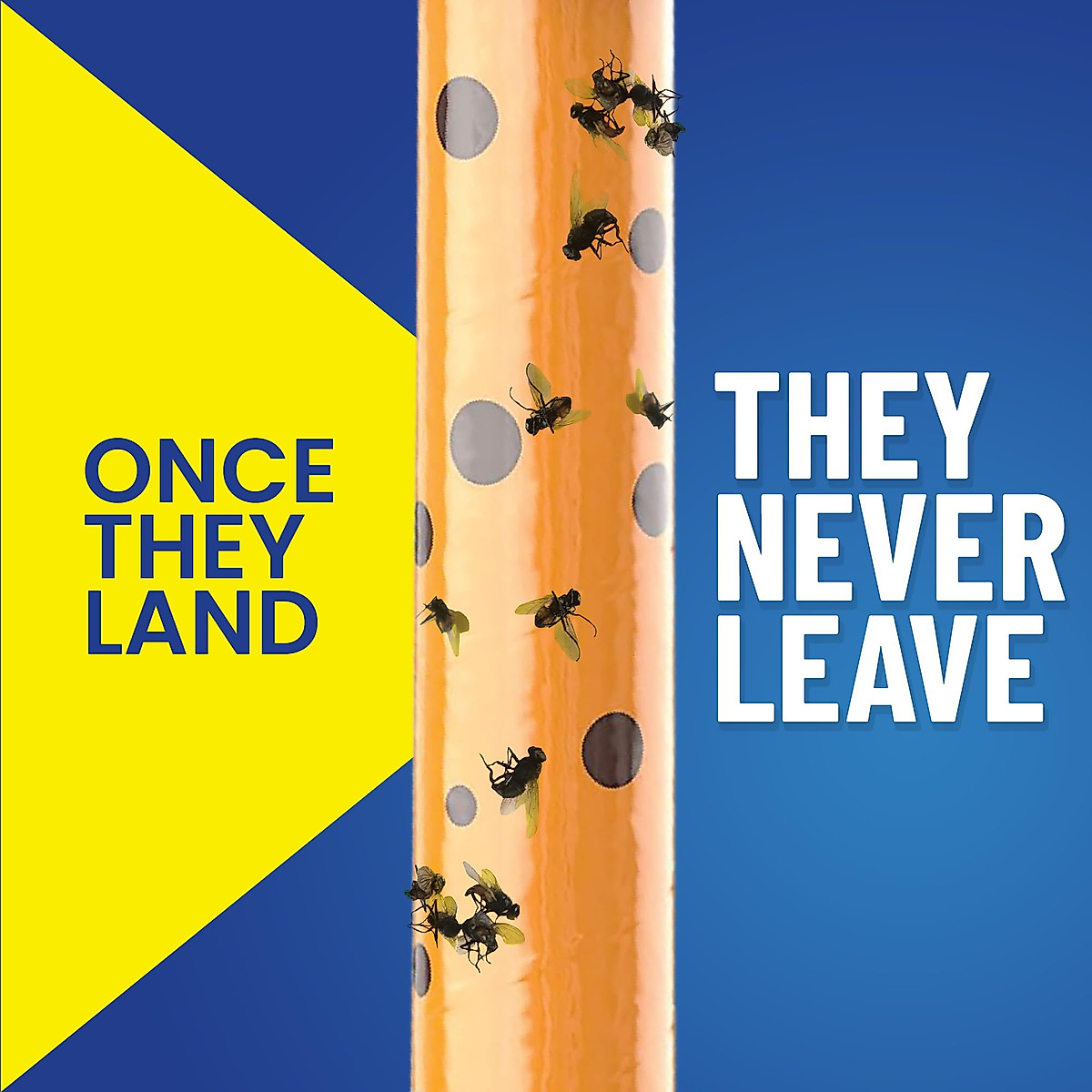 GATCH Fruit Fly Trap (10 Pack), Fly Stick for Mosquitoes, Sticky Trap for Flies Gnats Wasp Flying Insects, Bug Catcher, Indoor or Outdoor Use, Ready to Use Home