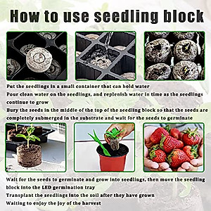 LCYATSI 2 Set 80-Cell Seed Starter Kit with Grow Light and 80pcs Peat Pellet Humidity Dome (80 Cells Total Tray) Seed Starting Trays, Base Large Greenhouse Germination Kit for Seeds Growing Starting