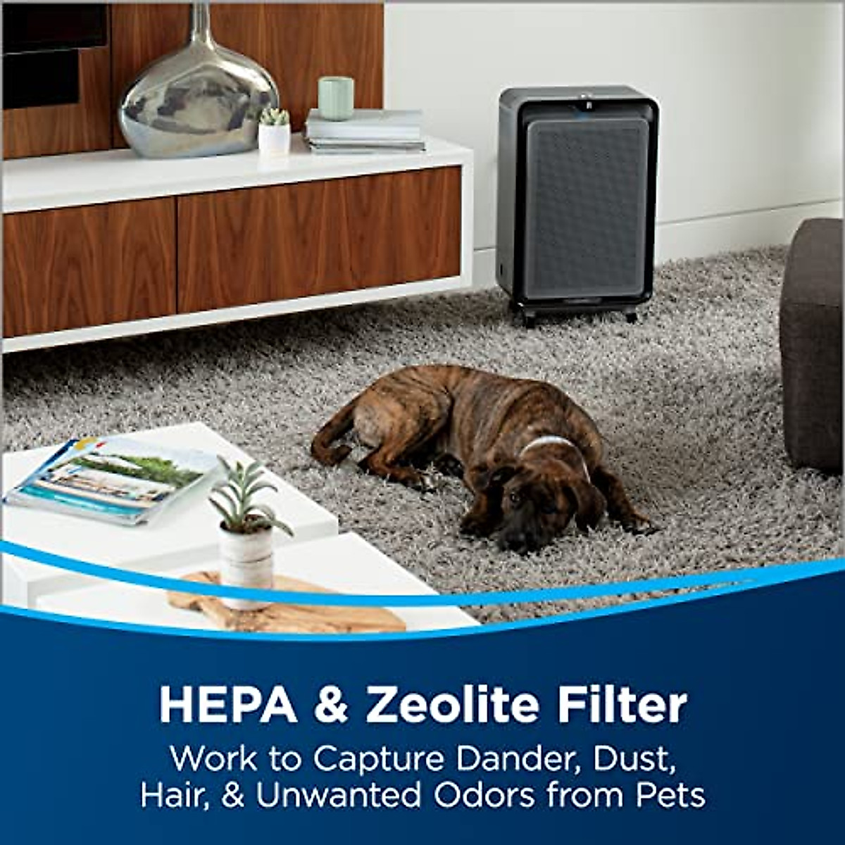 BISSELL air220 Air Purifier Replacement Pet Pro Filter Pack, 3289