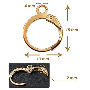 FANMAOUS 200PCS Hypoallergenic French Earring Hooks Leverback Earwires Round Earring Hooks Earring Supplies Findings Ear Wire with Open Loop for Earring Designs Jewelry Making Findings