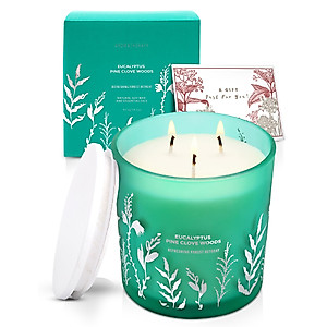 Eucalyptus Pine Clove Balsam Candle 3 Wick - Christmas Tree Scented Candle - Natural Soy Candle for Home Scented 14.5 Oz - Winter Holiday Candle Gift, Aromatherapy Stress Relief Candle for Women & Men