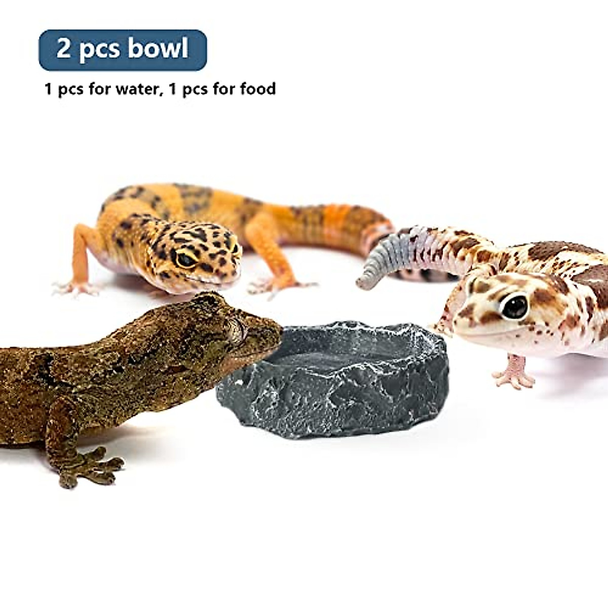 GKPONSX 2 Pack Reptile Food Bowls, Imitating Rock Design Water Dish and Feeder Food Bowls with Tongs Bug Scooper for Leopard Gecko Snake Lizard Turtle Chameleon