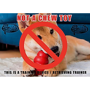 HuntEmUp Standard Size Plastic Dog Training Bumper with Throw Rope Dog Retrieving Dummy Duck Dog Hunting Training Tool Highly Visible Dog Float Toy – Orange