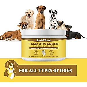 Special Breed Same for Dogs - S-Adenosyl-L-Methionine, Same Advanced, Liver Support Supplement for Dogs, Brain and Cognitive Support, Sam e for Dogs (120 Grams, 3 Pack)