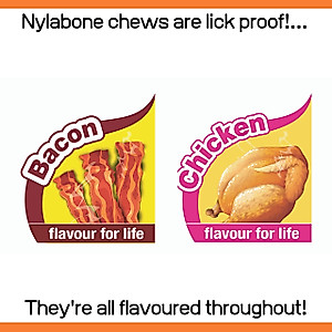 Nylabone Moderate Flexible Dental Dog Chew Toy Bones, 3 Pack, Bacon, Chicken Flavoured, X-Small, for Dogs Up to 7 kg