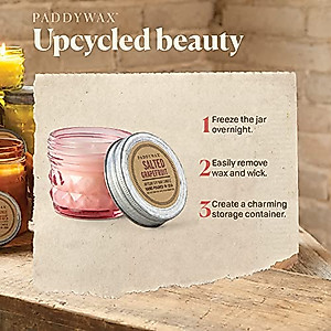 Paddywax Candles Relish Collection Scented Candle, Small, Salted Grapefruit