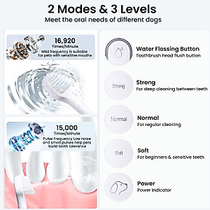 Bobopal Dog Tooth Brushing Kit,3-in-1 Dog Teeth Cleaning Tools,Ultrasonic Electric Toothbrush & Plaque Remover for Dogs with Water Flosser for Teeth,2 Modes & 3 Intensity Levels,IPX7,1100mAh Battery