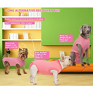 Wabdhaly Dog Surgery Recovery Suit for Female Spay,Puppy Surgical Recovery Zip Up Suit,Anti-Licking Bodysuit for Abdominal Wounds,Cone Alternative Recovery Blank Suit for Dogs