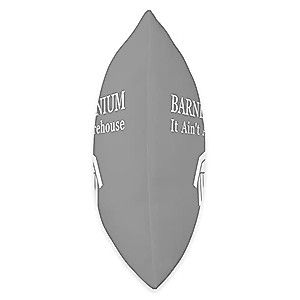 Barndominium Apparel and Designs Barndominium Barndo Life Barn Warehouse Home Throw Pillow, 18x18, Multicolor