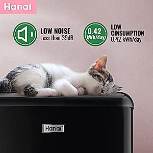 WANAI 3.5 Cu.ft Retro Mini Fridge with Freezer Compact Refrigerators Black Small Fridge Dual Door Classic Refrigerator Removable Glass Shelves Adjustable Thermostat for Home Office Dorm RV