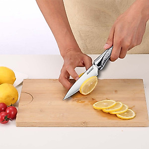 dearithe Paring Knife 3.5 Inch with Sheath, Hammered Pattern Hollowed Handle, High Carbon Stainless Steel Taper Grind Edge Technology, Peeling Knife Fruit Knife, Dishwasher Safe