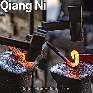 Qiang Ni Heavy-Duty Plant Hanger Outdoor: Hanging Plant Hook for Outside Basket - 16-Inch Wall Mount Plant Bracket for Bird Feeder