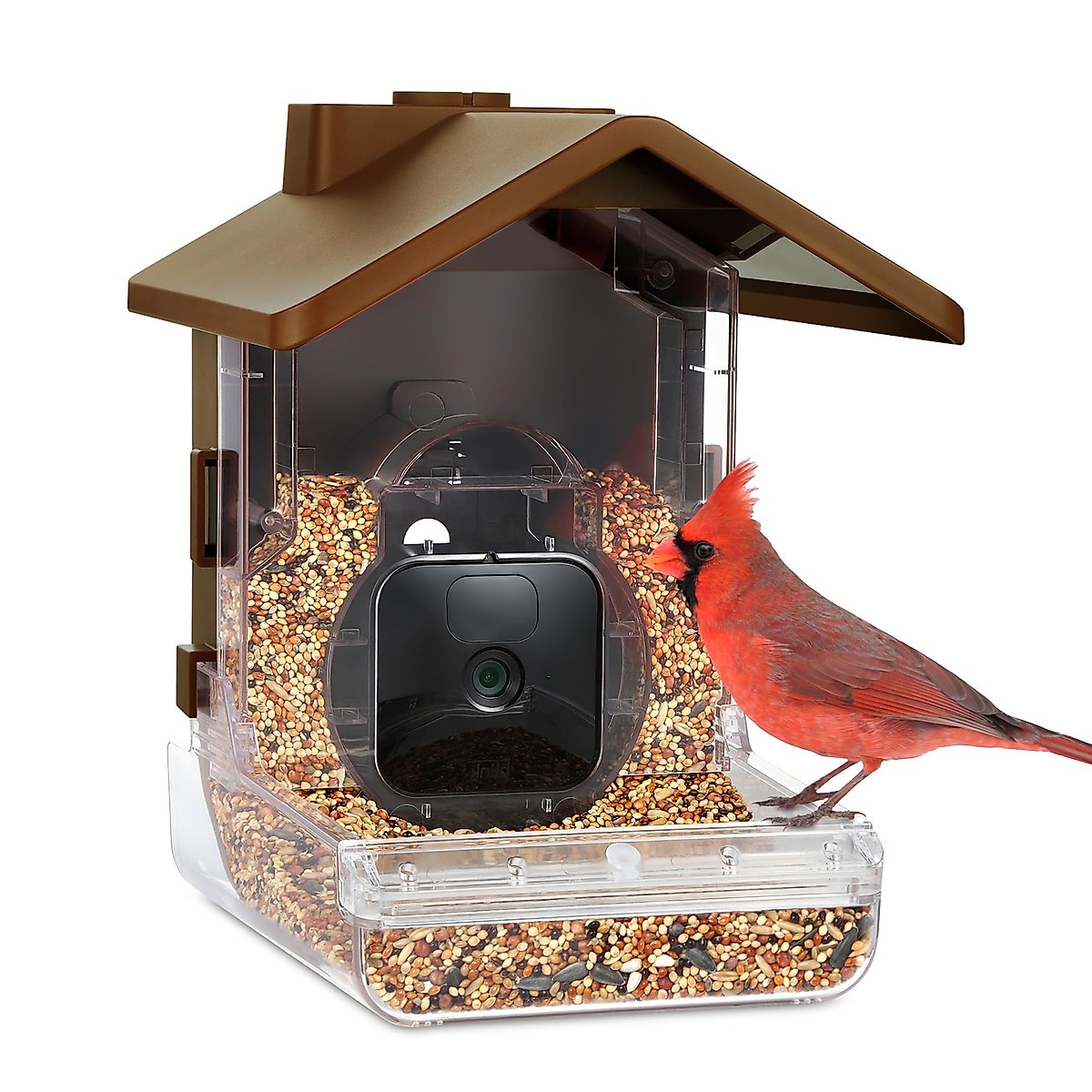 Wasserstein Bird Feeder Camera Case Compatible with Blink, Wyze, and Ring Camera for Bird Watching with Your Security Cam - (Camera NOT Included)