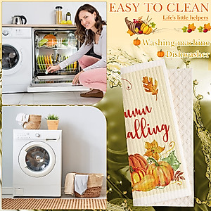Thanksgiving Swedish Kitchen Dishcloths Pumpkins Multi Purpose Kitchen Towel Absorbent Fall Dish Clothes Soft Reusable Cleaning Dish Cloths Washable Decorative Tea Towels (Autumn Style, 6 Pcs)