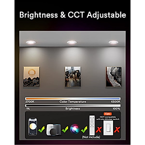 Lumary 5/6 Inch WiFi Smart LED Can Lights Retrofit Recessed Lighting - 13W 1100LM RGB Color Changing Downlight, Baffle Trim, Work with Alexa/Google Assistant/Siri, Bedroom, Kitchen, Living Room 4 Pcs