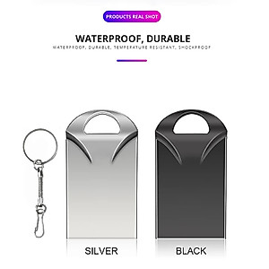 2GB Mini USB Flash Drives Memory Sticks Thumb Drive pendrives U-Disk for Car Music Speaker (Black 2GB with OTG/Type-C Converter)