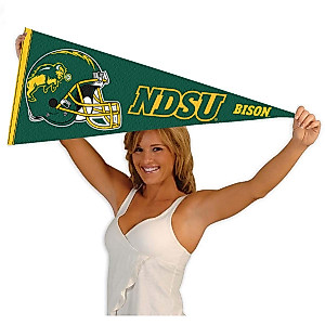 College Flags & Banners Co. NDSU Bison Football Helmet Pennant