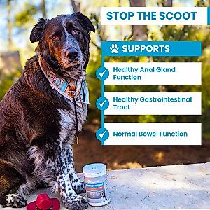 PawMedica Dog Anal Gland Chews to Stop Scoot for Dogs - Anal Gland Dog Constipation Relief - Recommended Dog AnalGland Support Chews Fiber - Fiber Supplement for Dogs (60 Dog Pumpkin Chews)