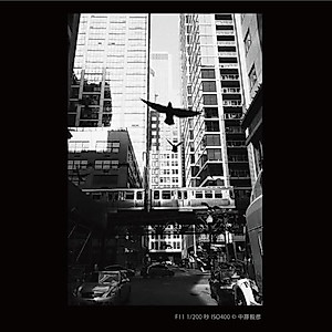 Panasonic LUMIX G9II Micro Four Thirds Camera, with 12-60mm F2.8-4.0 Lens DC-G9M2LK (International Model)