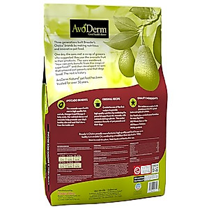 AvoDerm Natural Dry Dog Food, For Skin & Coat, Lamb & Rice Formula, 15 Pound