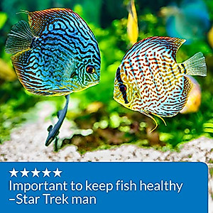 Aquarium Pharmaceuticals 31C pH Up Aquarium pH Adjuster, 4 oz.