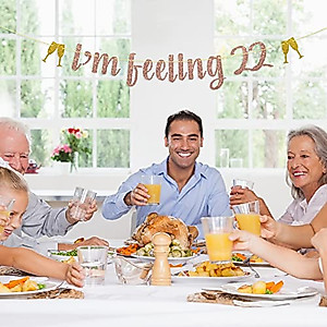 Rose Gold Glitter I'm Feeling 22 Banner, Happy 22nd Birthday Banner, 22nd Birthday Decorations, 22nd Birthday Party Supplies