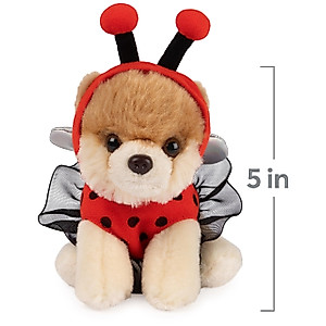 GUND Boo, The World’s Cutest Dog Ladybug Plush Pomeranian Stuffed Animal for Ages 1 and Up, 5”