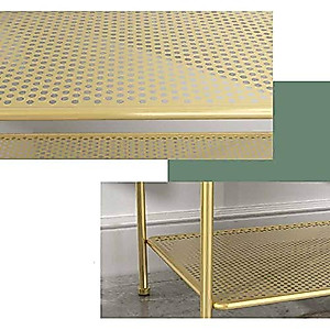 N/A 2/3 Tiers Shoe Rack, Small Shoe Rack Organizer, Space Saving Shoe Shelf, Iron Shoe Rack (Color : D, Size : 2layers)