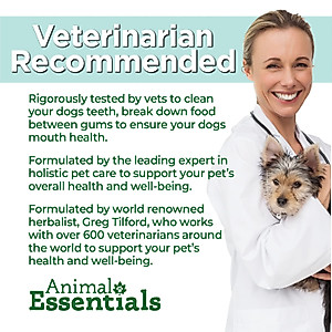 Animal Essentials Daily Digestion for Dogs & Cats - Digestive Support, Fresh Breath, Ginger Root, Fennel Seed Extract, Liquid Supplement - 1 Fl Oz