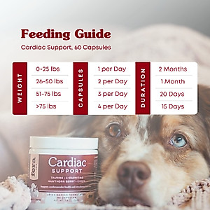 Fera Pets Probiotics and Cardiac Support Supplement Bundle for Dogs and Cats – All Natural Probiotics Powder for 5 Billion CFUs per Scoop – Support Cardiovascular Heart Health (60 Capsules)