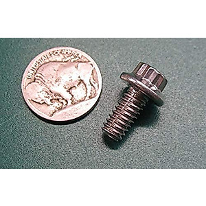 18-8 Stainless Steel 12 Point FT Bolts 1/4"-20 Thread x .500 Length 5 pcs