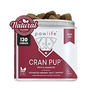 Pawlife Cranberry Supplements for Dogs| Urinary Tract & Bladder Support| D Mannose & Antioxidants for Support| 120 Veterinarian Formulated Soft Chews| Up to 4-Month Supply