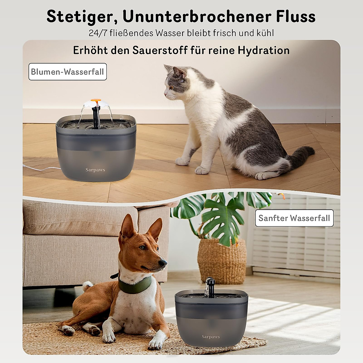 Automatic Cat Feeder and Cat Water Dispenser FW1, Wire or Battery Cat Food Dispenser Timer Pet Feeder - Locking Lid, Desiccant Bag, Programmable Portion Control, 4 Daily Meals, 10s Voice Recorder