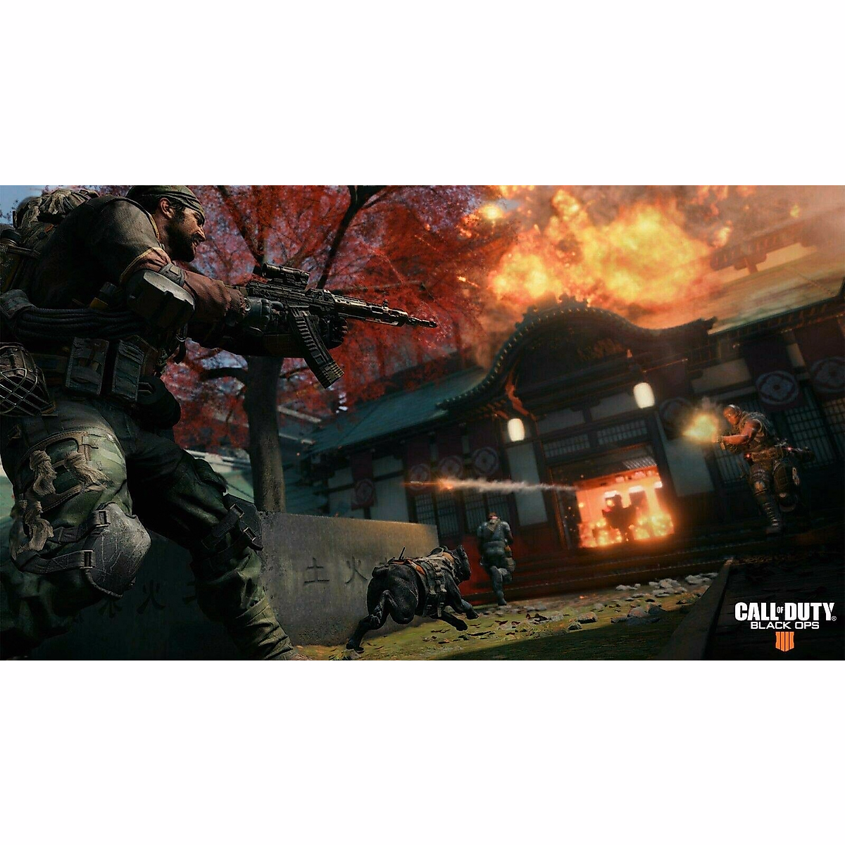 Call of Duty: Black Ops 4 - PlayStation 4