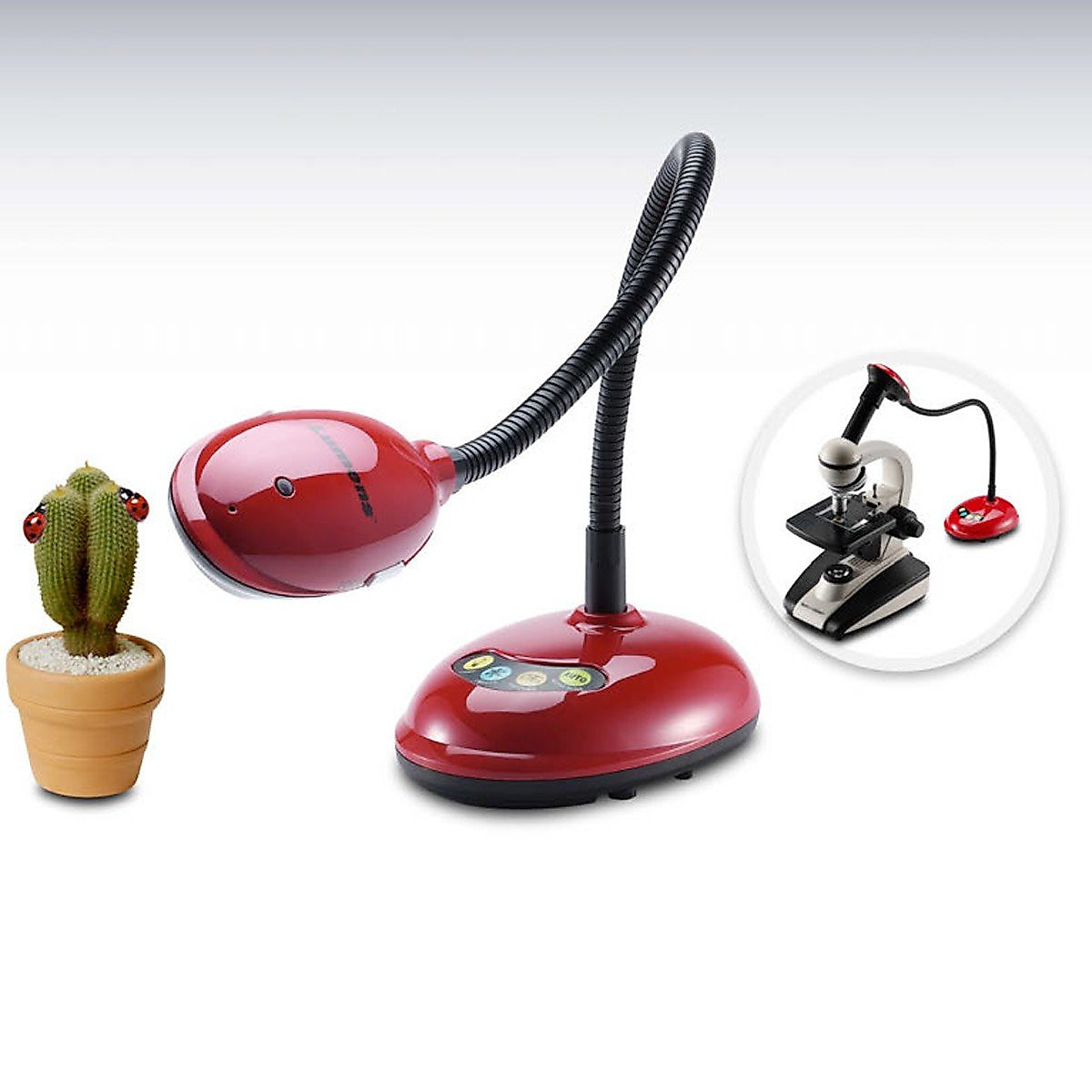 Lumens DC125 Ladibug 30fps HD Lightweight Document Camera