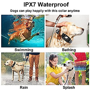 Waterproof Airtag Dog Collar, SANKALA Padded Apple Air Tag Dog Collar, Heavy Duty Dog Collar with AirTag Holder [Full Body Covered], Adjustable Air Tag Pet Collar for Small Medium Large Dogs, L