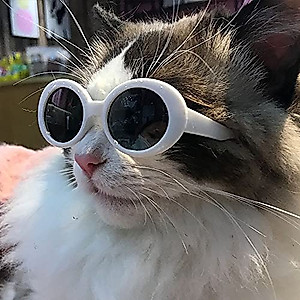 REBABA Cat Sunglasses Cool Plastic Dog Sunglasses Pet Cute and Funny Sunglasses Dog Cat Cosplay Party Costume Photo Props(White)
