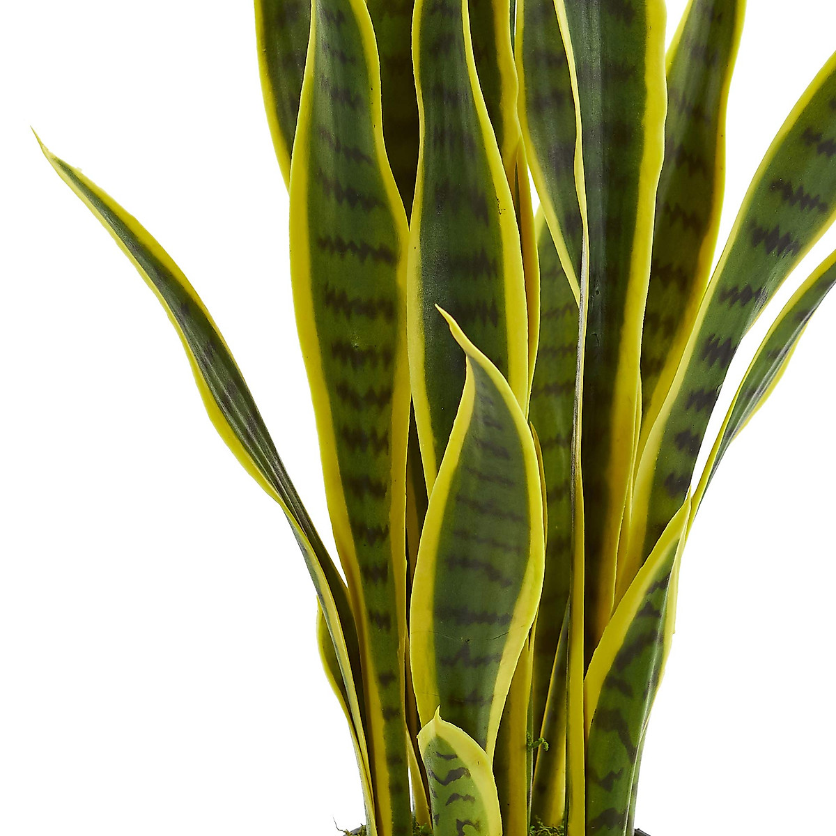 Nearly Natural 26 in. Sansevieria Artificial Silk Plants, Green