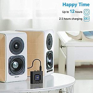 1Mii Bluetooth Receiver for Audio (Ivory Black)